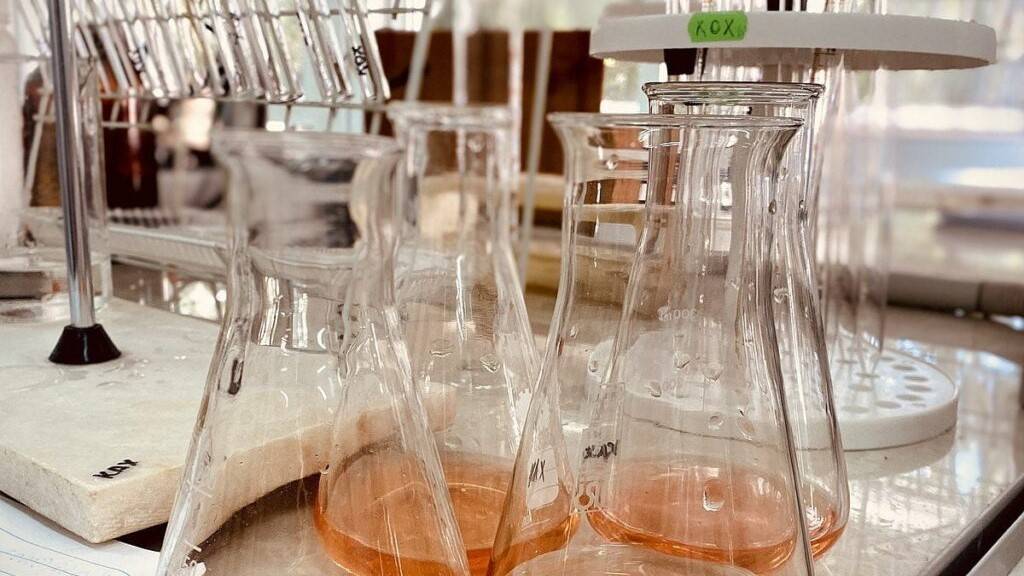 LabXchange