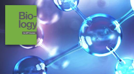 LabXchange