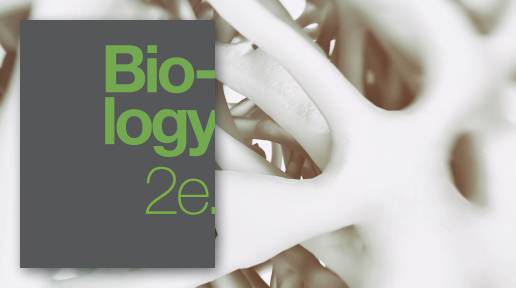 LabXchange