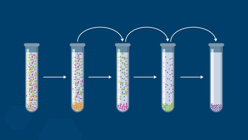 LabXchange