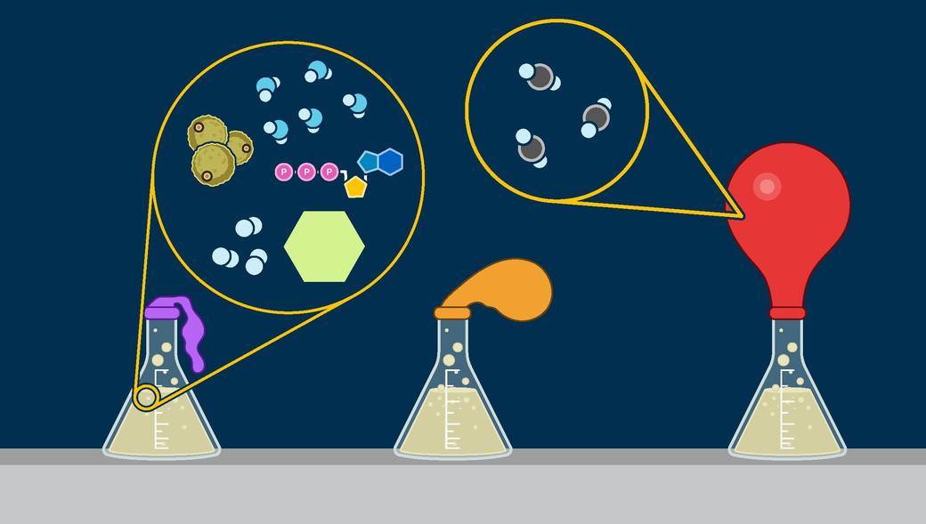 LabXchange