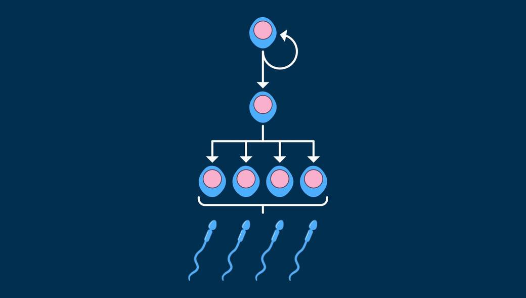 LabXchange