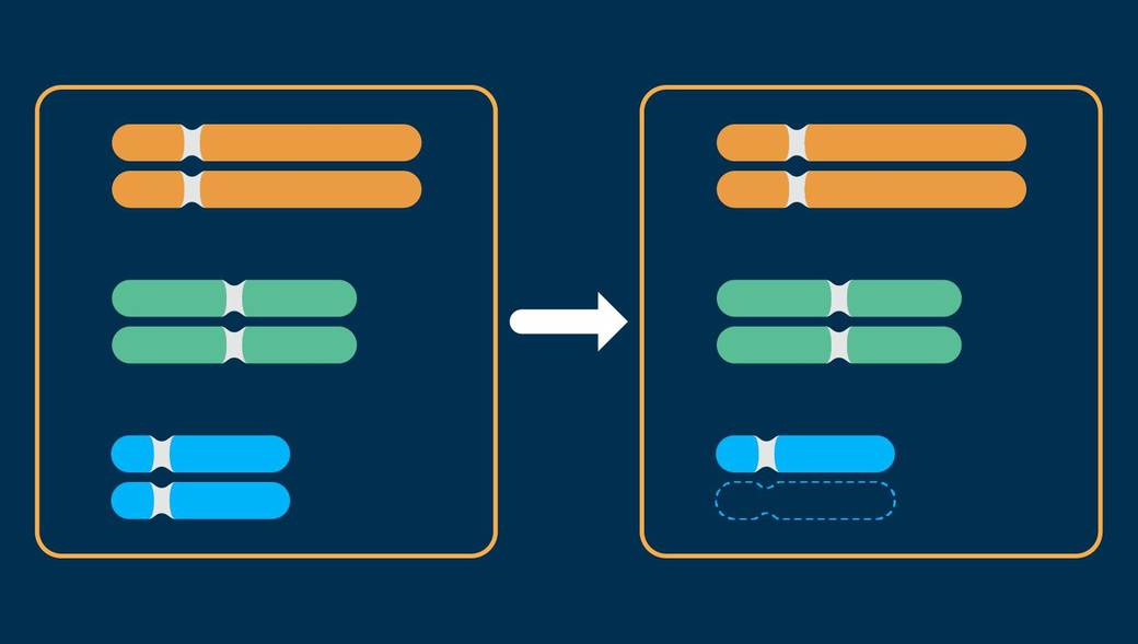 nondisjunction chromosomal mutation example
