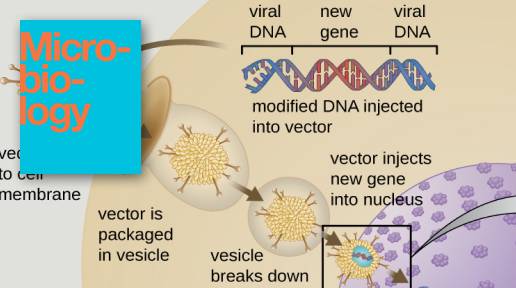 What Is A Vector Microbiology Leucosporidium Egoroviorum F.a., Sp.