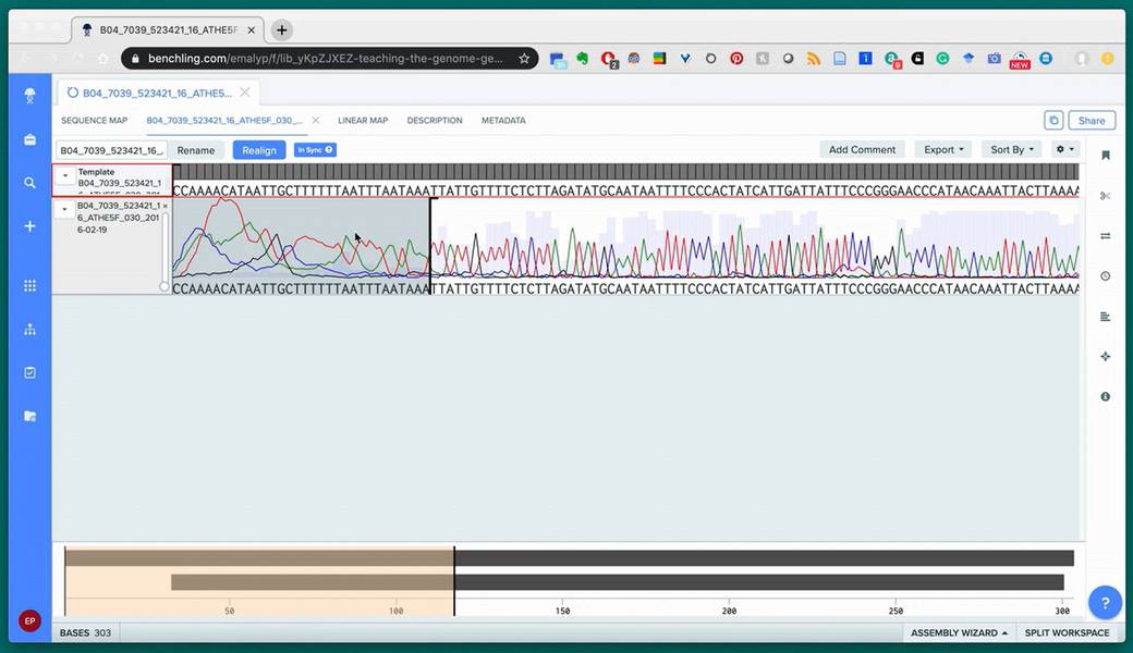 LabXchange