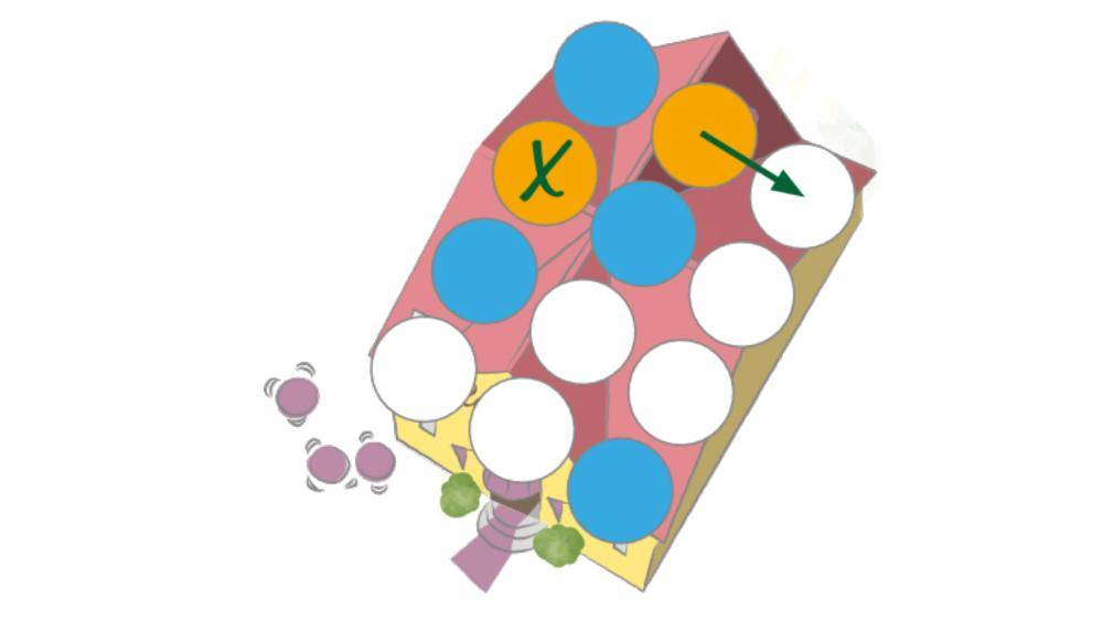 LabXchange