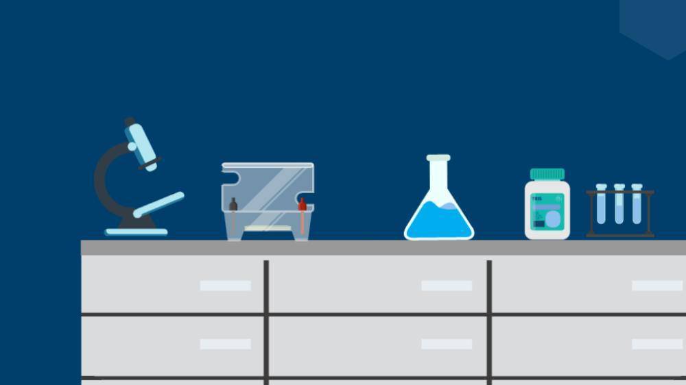 LabXchange