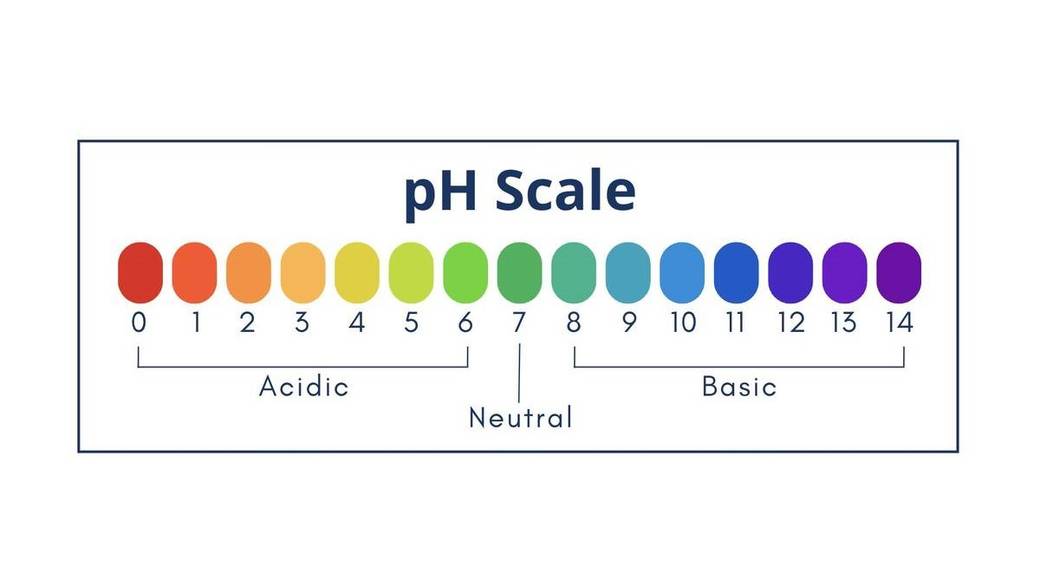 Ph Scale Acids And Bases