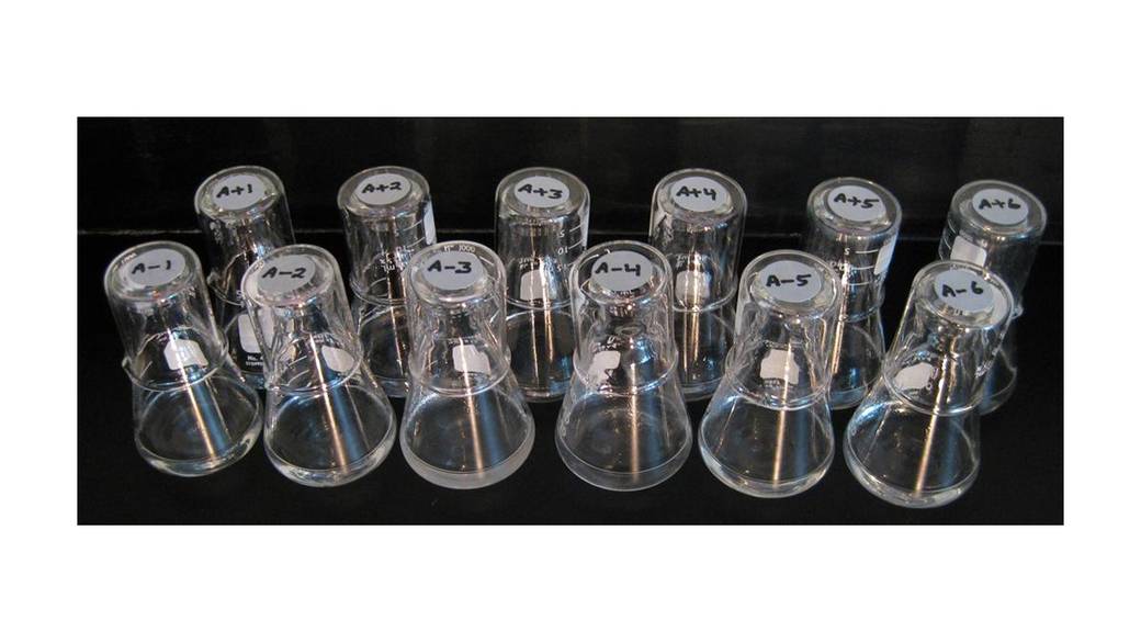 LabXchange