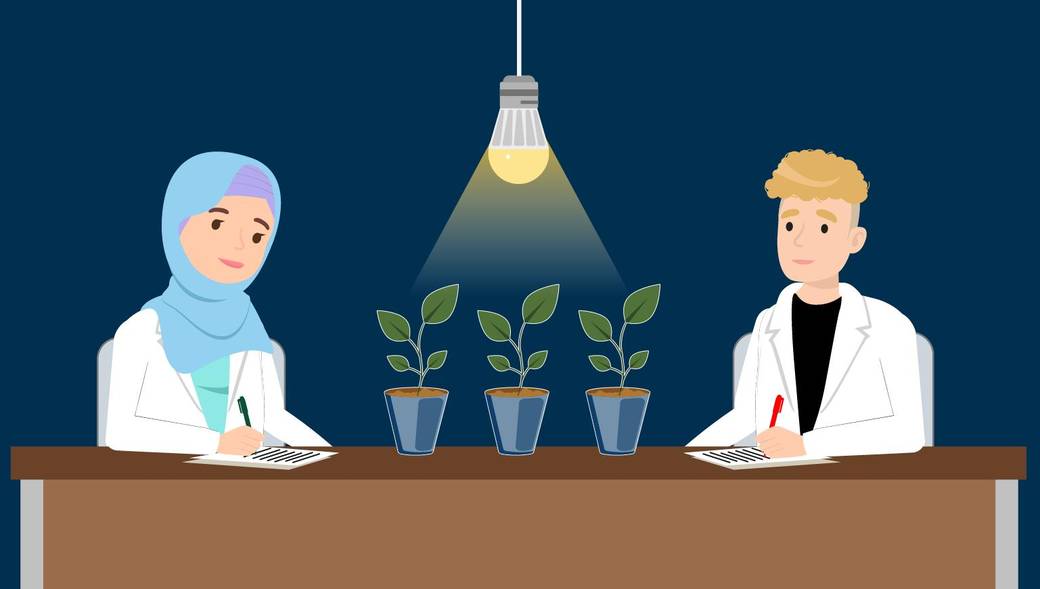 Plant Competition Lab Report