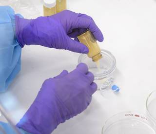 LabXchange