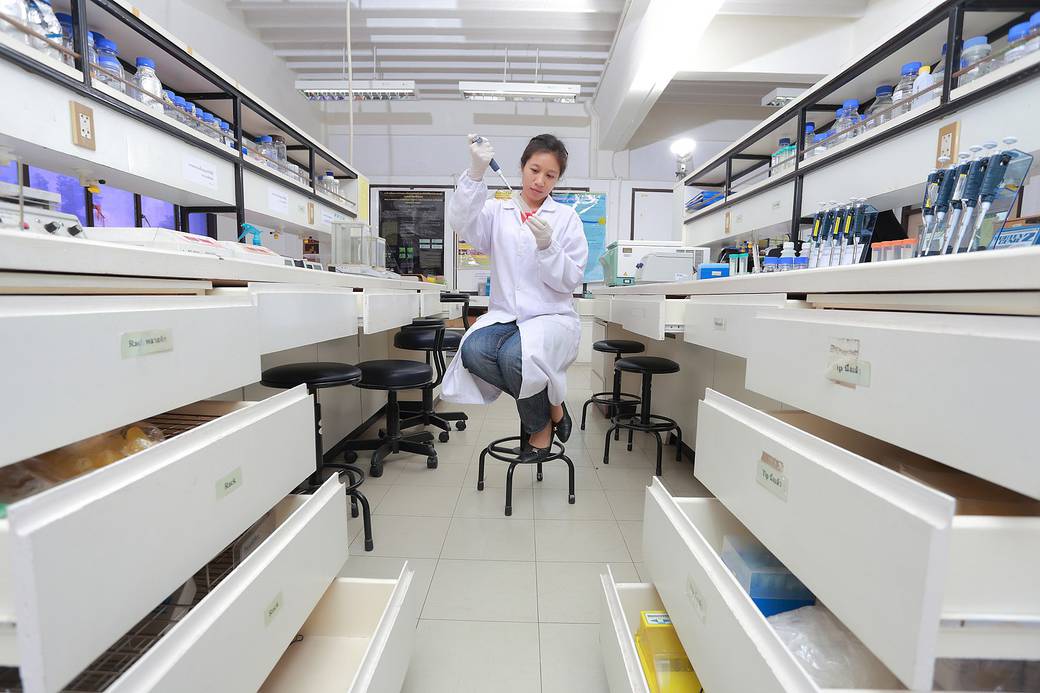LabXchange