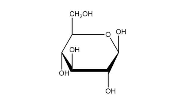 Carbohydrate Diagram Understanding Carbohydrate Metabolism: An