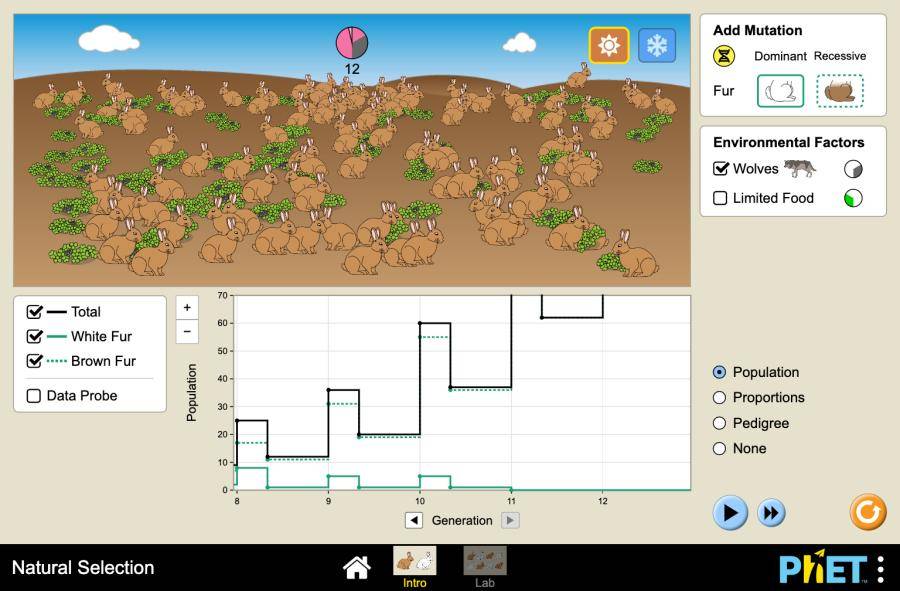 Natural Selection Simulation Modeling Natural Selection Evolution Lab