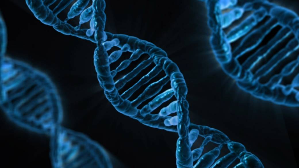 LabXchange