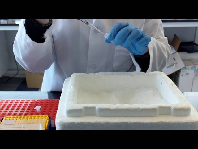 LabXchange