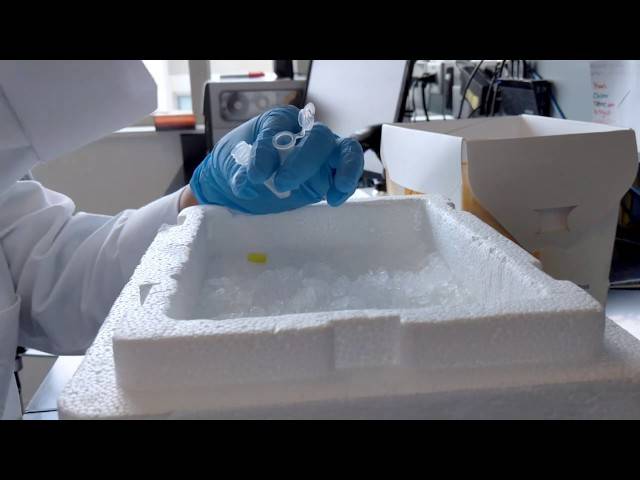 LabXchange