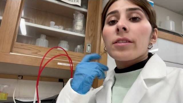 LabXchange
