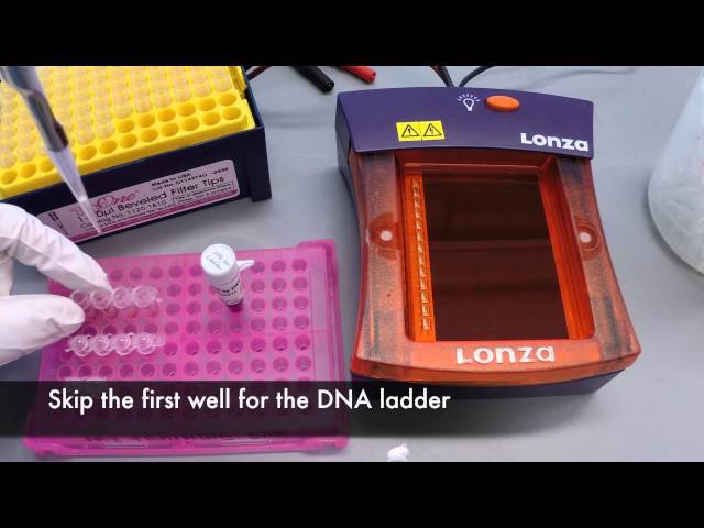 LabXchange