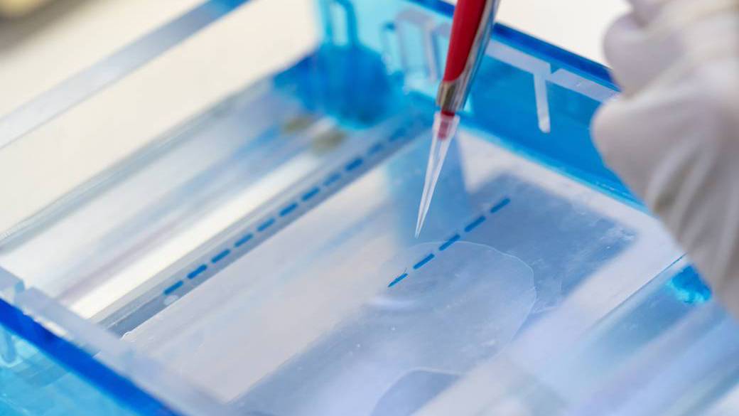 LabXchange