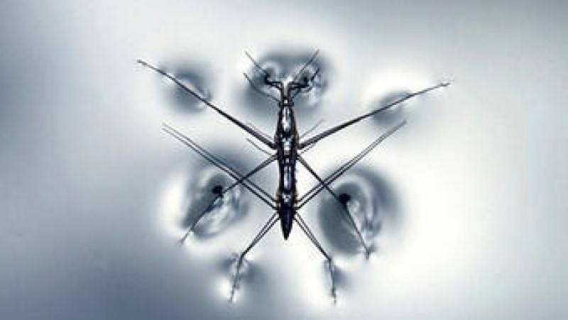 Surface Tension Of Water